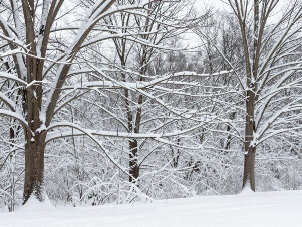 Massachusetts Winter Weather: Snow And Wind Chills Expected